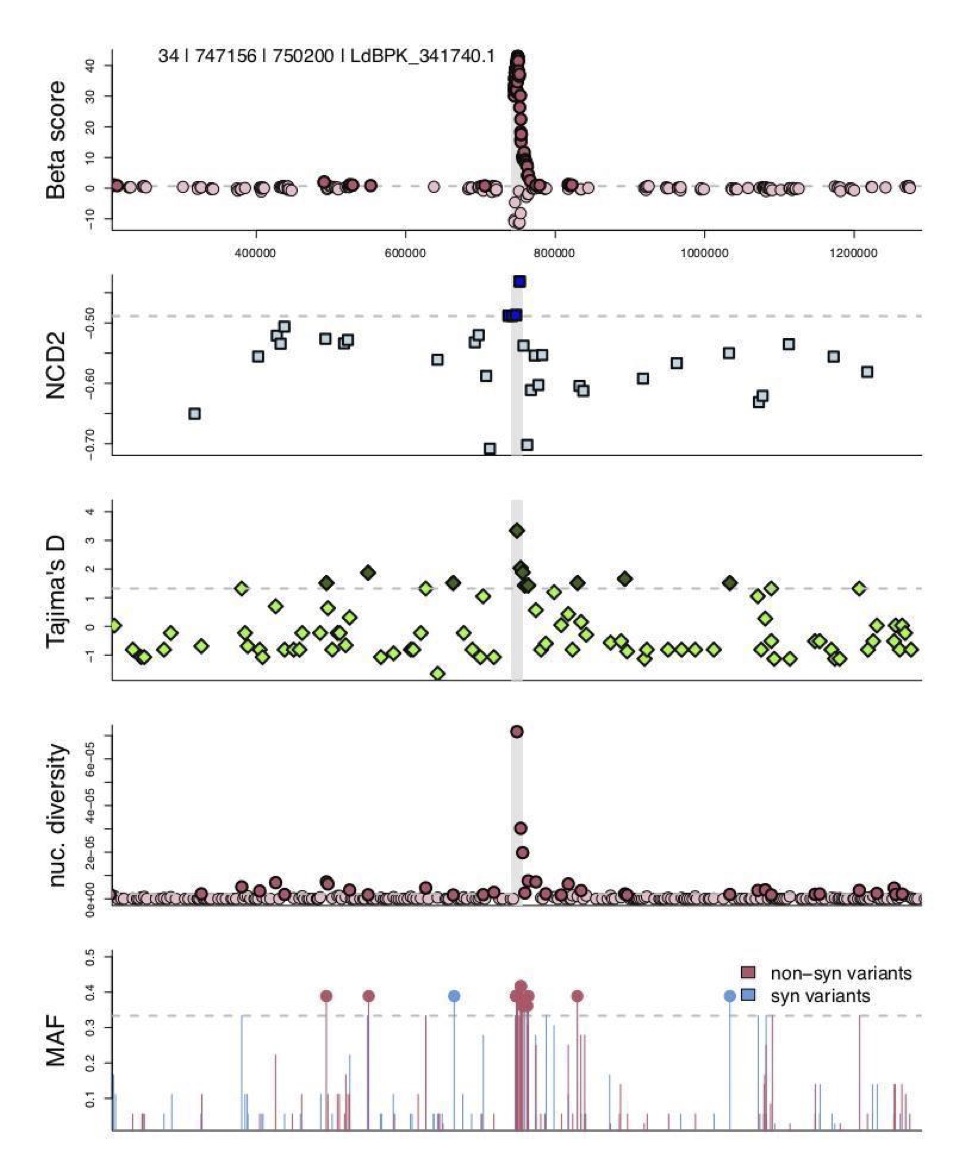 parasite {genomics, evolution, quantitative genetics}